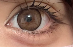 【プリモアプリガールキャメル(PRIMORE Pri girl camel)MINAMI】カラコンワンデー送料無料 | モアコンタクト(モア ...